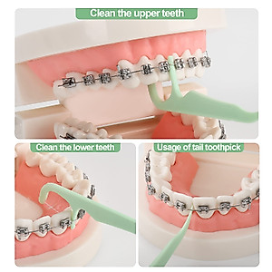 150 Count Orthodontic Flossers for Braces with Floss Dispenser, Braces Flossers for Kids Teeth & Adults, Dental Floss for Braces, Dental Floss Picks, 50 Count Bag (Pack of 3)