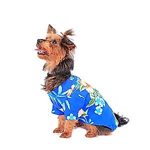 Hawaiian Matching Pattern Dog Aloha Shirt in Hibiscus Blue Size Small
