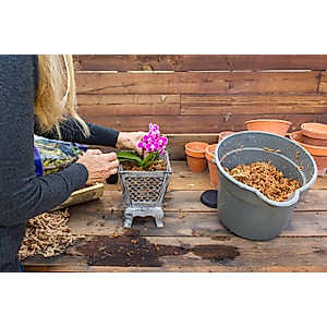 SuperMoss (22325) Orchid Sphagnum Moss Dried, Natural, 1 Pound Mini Bale