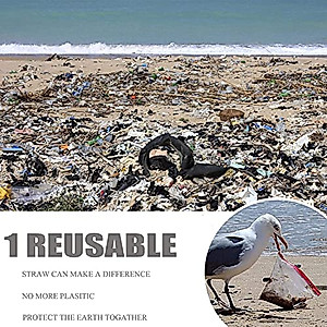 Buleila TELESCOPIC STRAW (BLUE CASE COLORFUL STRAW,PINK CASE SILVER STRAW,GOLD CASE ROSE GOLD STRAW,GREY CASE SILVER SREAW, 4)