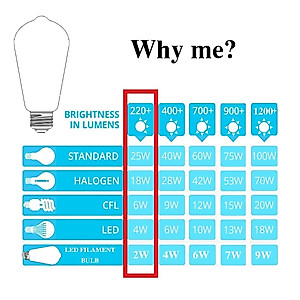 winsaLED 12 Pack 2w LED Edison Bulbs, 25 Watt Light Bulbs Equiv, 2700K Soft Warm with E26 Standard Base, LED ST19 Low Watt Light Bulbs, Not-dimmable, 120V