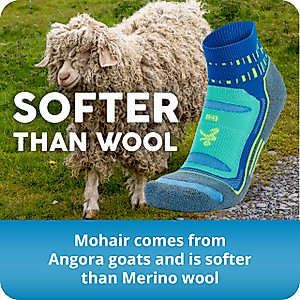 Balega Blister Resist Performance No Show Athletic Running Socks for Men and Women (1 Pair), Legion Blue/Grey, Small