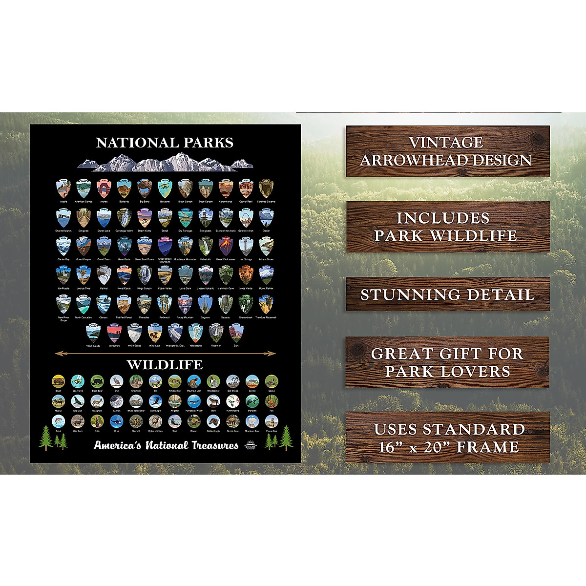 Bright Standards National Parks Scratch Off Map of United States Poster [Includes Wildlife], National Parks Map, US Travel Maps, USA Gifts for Travelers Road Trip Adventure, Fits 16”x20” frame