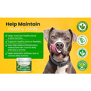 Advanced Hip and Joint Supplement for Dogs Large Breed - Glucosamine for Dogs Mobility & Pain Relief - Chondroitin, MSM & Turmeric | Bundle Pack(Chewable Tablets + Powder)