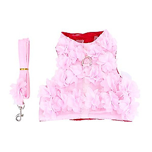 POPETPOP Dog Leash and Harness for Girls,Cute Dog Flower Harness Waking Vest Harness and Pet Leash for Halloween Wedding Cat Puppy Girl-Size XL
