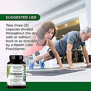 Emerald Labs Cholesterol Health - Featuring CoQ10, Flush-Free Niacin, RYR-VA, and Garlic for Heart and Circulatory Support - 90 Vegetable Capsules