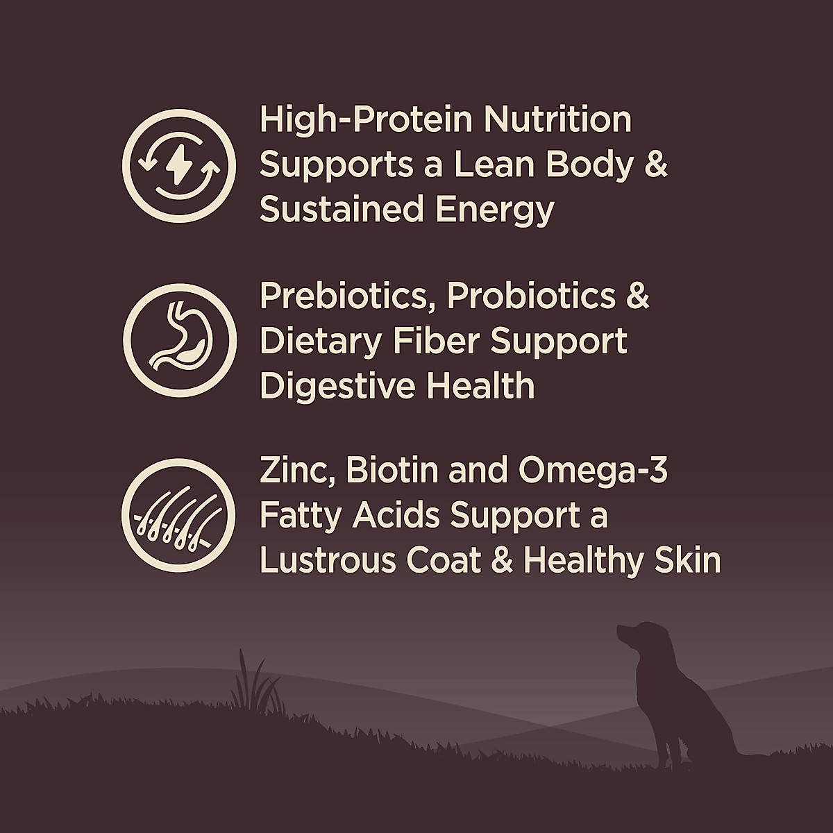 Wellness CORE Wholesome Grains Ocean Recipe, 22 Pound Bag