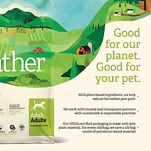 GATHER Endless Valley, Plant-Based, Grain-Free Dry Dog Food, Vegan Adult Recipe with Non-GMO Ingredients, 16 lb Bag