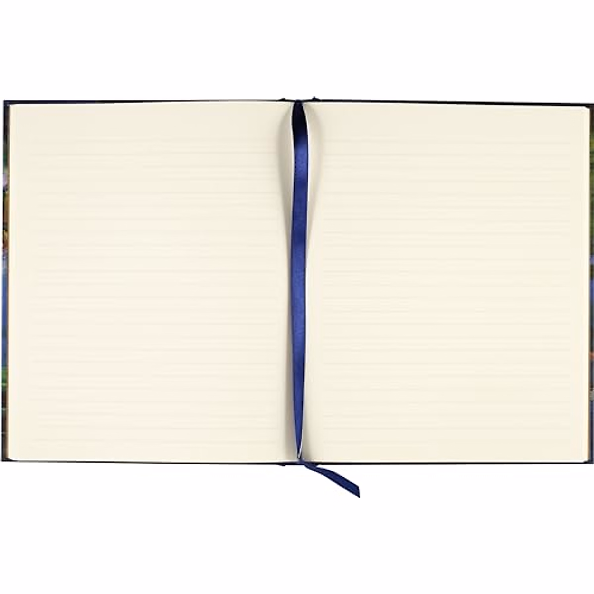 Hummingbird Dreams Journal