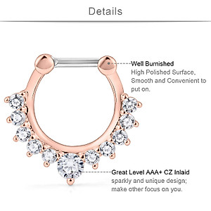 SCERRING 16PCS 16G Stainless Steel Hinged Seamless Septum Hoop Nose Ring Horseshoe Rings Cartilage Daith Tragus Clicker Retainer Body Piercing Jewelry Clear CZ Black & Rose Gold
