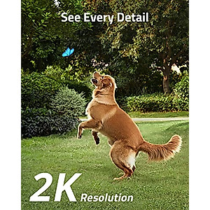 eufy security Outdoor S230 SoloCam S40, Solar Security Camera, Wireless Outdoor Camera, Battery Camera, Integrated Solar Panel, Spotlight Camera, 2K Resolution, 2.4 GHz Wi-Fi, No Monthly Fee, Motion Only Alert