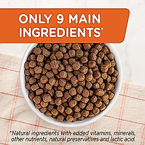 Rachael Ray Nutrish Limited Ingredient Lamb Meal & Brown Rice Recipe, Dry Dog Food, 14 Pound Bag (Packaging Design May Vary)