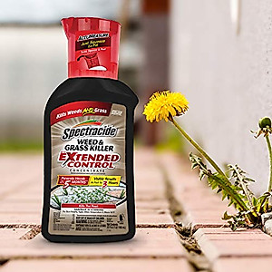 Spectracide Weed and Grass Killer with Extended Control Concentrate, 32 Ounces, with Accumeasure System (Case of 6)