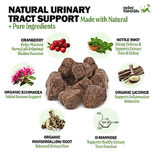 Deley Naturals Dog UTI Prevention - 120 Grain Free Soft Chews - Incontinence, Bladder, Kidney & Immune System Support - Cranberry Pills - D-Mannose & Echinacea - Made in USA - Natural Chicken Flavor