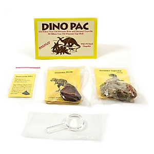 Rare Fossil Dino Pac - Real Dinosaur Egg, Bone, and Dung Fossils with Info Cards, Geologic Timescale, and 4X Magnifier