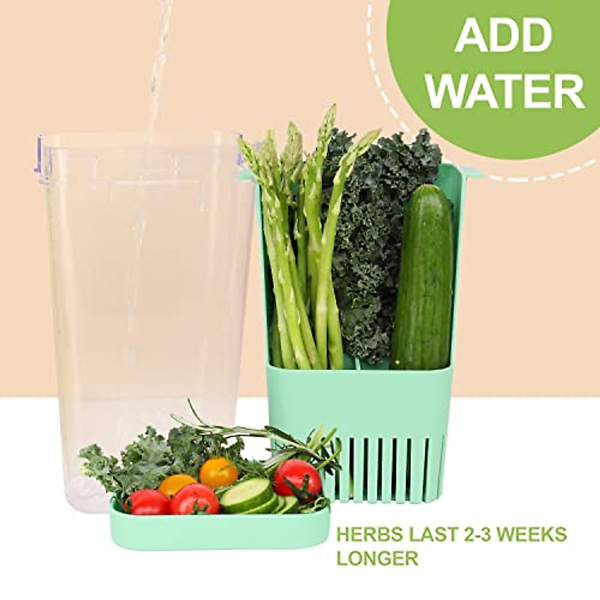 LUVCOSY 2 Packs Fresh Herb Keeper for Refrigerator, Clear BPA-Free Herb Saver, Storage Container for Cilantro, Parsley, Thyme, Mint & Asparagus, Preserver Keeps Fresh Herbs Cyan