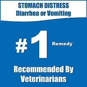 Whole Life Pet Recover. Bland Diet for Dogs - Vomiting, Stomach Distress or Diarrhea Relief. Ready in Minutes - Just Add Water