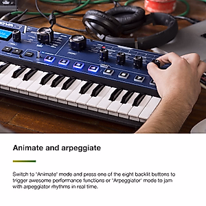 Novation MiniNova Analogue Modelling Compact 37 Mini-key Synth – Tough, compact, powerful mini-synth with pitch-correcting effect vocoder, 256 onboard sounds and five effects per voice layering Blue