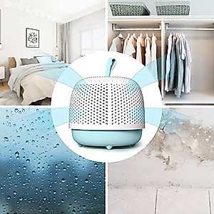 LUOWAN MINI Dehumidifier Portable Small Dehumidifier for Wardrobe,Dressing table,Cloakroom,Shoebox,Car,Bedroom,Bathroom(Blue)