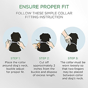 8-Month Protection Dog Flea Collars & Tick Collar - No Irritation, Baldness, or Side Effects - Suitable for Small, Medium, Large Dogs - 25 lnch - Natural flea and tick Collar for Dogs - 1 Pack