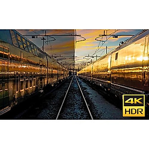 Sony KD55X77L X77L 55 Inch 4K HDR LED Smart TV with Google TV (2023) Bundle with Monster Cables Home Theater Setup Package - Full Motion Mount, Monster HDMI Cables, & Sound Reactive RGB Light Strip