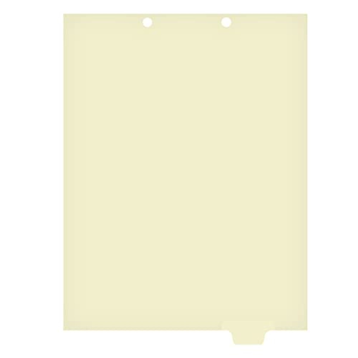 Individual Chart Divider Sheets Used to Build Chart Divider Sets for Medical Practices, 1/6th Cut, Tabs on Bottom, Position: #6, Blank (Pack of 100)