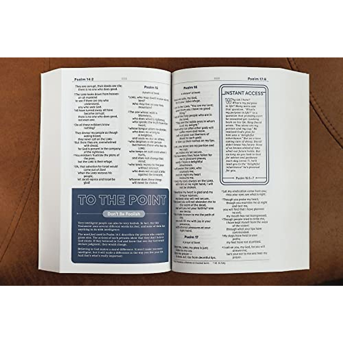 NIV, Teen Study Bible (For Life Issues You Face Every Day), Paperback, Comfort Print