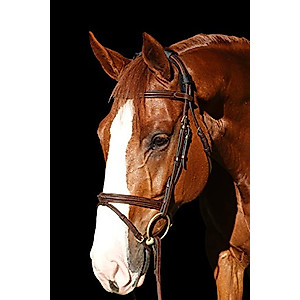 BENEFAB Therapeutic Poll Pad | Far-Infrared Therapy | Comfort & Care for The Poll | Helps Jaw Tension | Provides Relief & Cushion (Princess Purple)