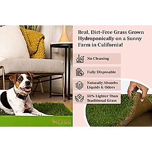 DoggieLawn Real Grass Puppy Pee Pads- 24 x 20 Inches - Perfect Indoor Litter Box for Dogs - No Mess, Easy-to-Use - Potty Training for Pets - Eco-Friendly Disposable Bathroom with Real Living Grass