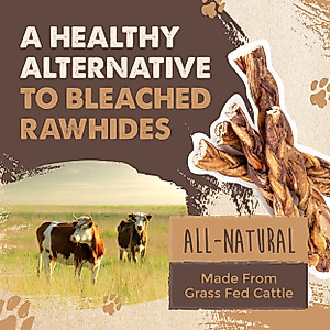 Mighty Paw Braided Bully Sticks for Large Dogs (5 Pack) | Large Bully Sticks. Best Dog Bully Sticks for Medium Dogs. Twisted Treats for All Breeds. Odor Free Bully Sticks. Thick 12” & 6” Variety Pack