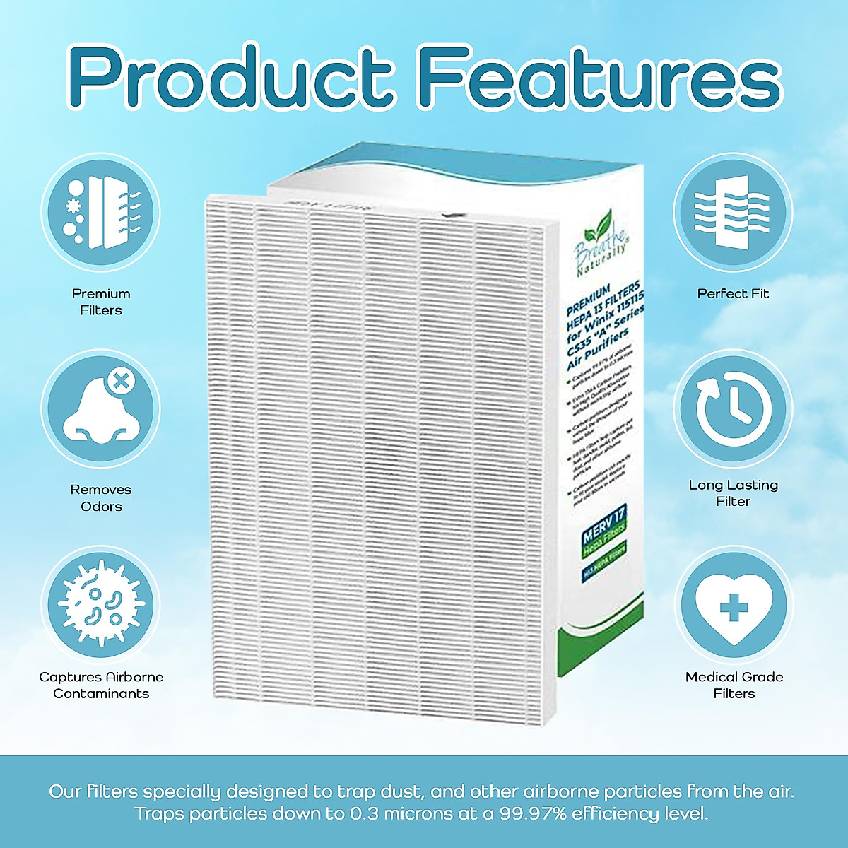Breathe Naturally Replacement Filters Compatible with Winix C535, Plasmawave 5300, 6300 and Aeramax 300/290 Air Purifiers - True HEPA Filters for Home Purifiers - 12.6" x 16.3" x 1.25" (1 HEPA Filter)