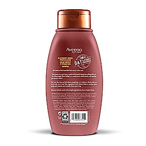 Aveeno Blackberry Quinoa Protein Blend Sulfate-Free Shampoo for Color-Treated Hair Protection, Daily Strengthening & Moisturizing Shampoo, Paraben & Dye-Free, 12 Fl Oz