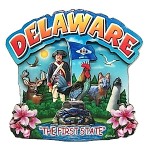 Delaware State Montage Wood Fridge Magnet 2