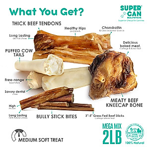 SUPER CAN BULLYSTICKS 2lb Mega Mix Natural Dog Chews Variety - Pig Ears, Cow Ears, Beef Lung, Liver, Trachea - Healthy Treats Small Medium Large Dogs - Long Lasting Bully & Gullet Sticks