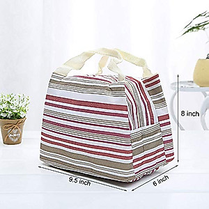 Lunch Bag Lunch Organizer for office Lunch Cooler with Zip Closure Foldable Lunch Tote Bag, Reusable Lunch Holder Insulated Lunch Container Picnic Bag for Men Women（Pink+Red）