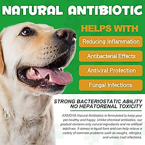 Natural Antibiotics for Dogs - Dog Antibiotics - Antibiotics for Dogs - Pet Antibiotics - Natural Antibiotics for Dogs - Organic Ingredients - Dog Multivitamin 60ml