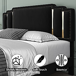 HIFIT Queen Size Modern Velvet Upholstered Bed Frame with Adjustable Headboard, Studded with Golden Iron Slice & Rivets, Platform Bed Frame with No Noise, No Box Spring Needed, Easy Assembly, Black