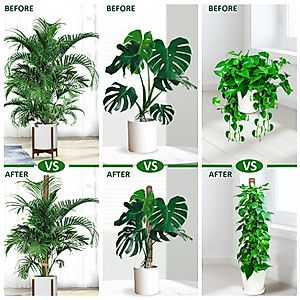 Moss Pole 90 inch 6 Pack Plant Moss Pole for Plants Monstera Pole 16.5" and 11.8", Coco Coir Totem Moss Pole for Indoor Climbing Plants Creepers to Grow Upwards,Plant Support, with Garden Ties Kit