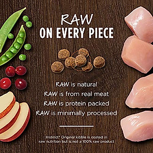 Instinct Grain Free Dry Dog Food, Original Raw Coated Real Chicken Natural High Protein Dog Food, 22.5 lb. Bag