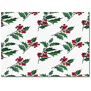 Area Rug Absorbent Non-Slip Rectangle Rug Christmas Holly and Berries Rugs for Living Room Bedroom Kitchen Entryway, Soft Floor Mat Indoor Carpet Accent Rugs 2x3 Feet