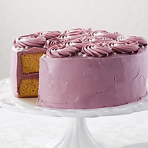 Wilton Cake Icing Smoother