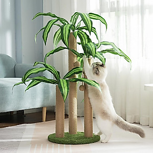 LEMONDA 31.5Inch Cat Scratching Post,Cat Scratcher Tree with 3 Scratching Poles & 2 Interactive Dangling Balls,Cats Scratching Posts for Indoor Kitten & Adult Cats