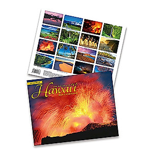 16 Month Trade 2024 Calendar November 2023 - February 2025 Big Island Hawaii