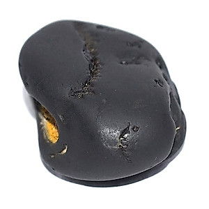 Rudrakshguru Laxmi Narasimha Shaligram - Gandaki River Nepal