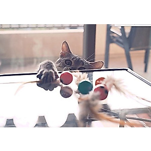 Bouncy Tails 5 Pack Interactive Bouncy Ball with Natural Feathers for Indoor Cats and Kittens who Love to Play and Have Fun.