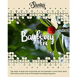 Bayberry Fir Soy Votive Candles - Scented with Natural Fragrance Oils - 6 Green Natural Votive Candle Refills - Christmas & Holiday Collection