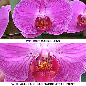 Altura Photo 49MM 0.43x Professional HD Wide Angle Lens (w/Macro Portion) for Canon EOS M50 M M2 M3 M5 M6 Mark II M10 M100 M200 R50 R100 Mirrorless Cameras