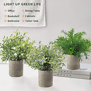 3 Pack Small Potted Artificial Plastic Plants,Mini Fake Rosemary Plant Faux Flower Houseplants for Home Decor Indoor,9.5" Tall Greenery Plants for Wedding Home Office Desk Garden,Indoor &Outdoor