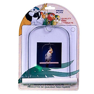 Penn Plax Cockatiel Bird Swing