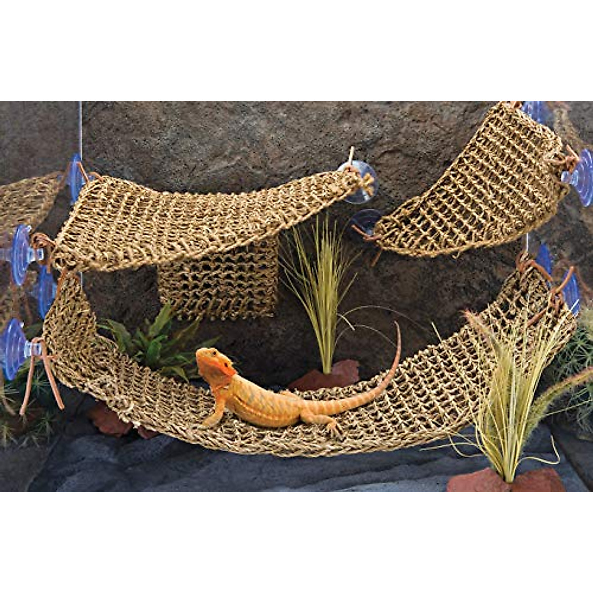 PENN-PLAX Reptology Lizard Lounger Corner Triangle – 100% Natural Seagrass Fiber – Great for Bearded Dragons, Anoles, Geckos, Iguanas, and Other Reptiles – Small
